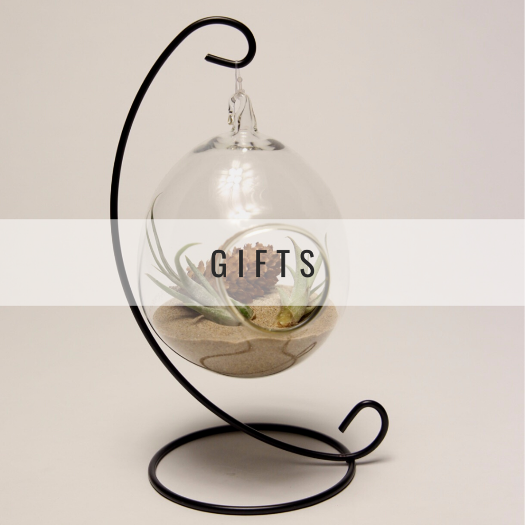 Shop – Ignite Glass Studios