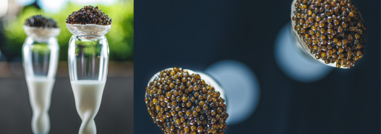 Ignite Glass Studios – 401 N. Armour Street | Chicago, IL 60642